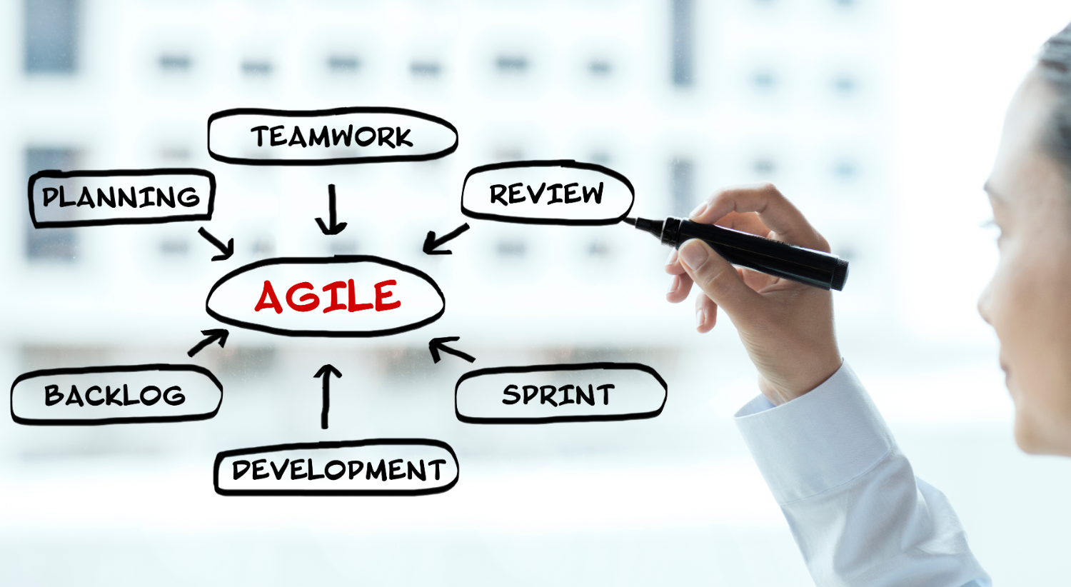 Agile Web Development by Websparks | Fast, Flexible, Future-Ready
